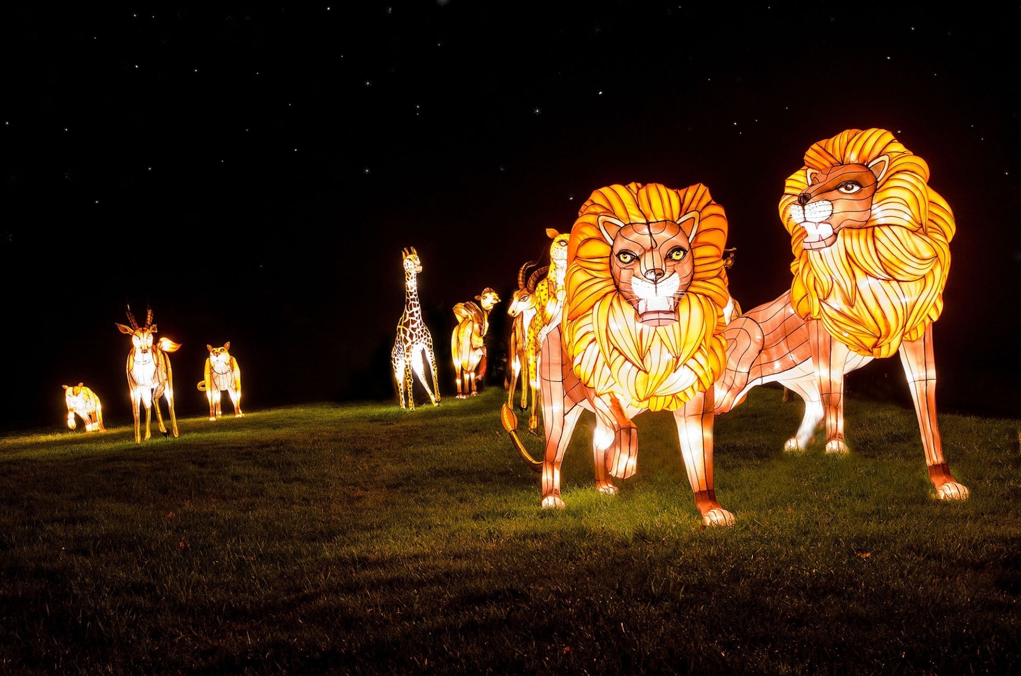 Longleat The Festival Of Light